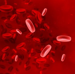 National Blood Week campaign sees letters disappearing across the UK ...