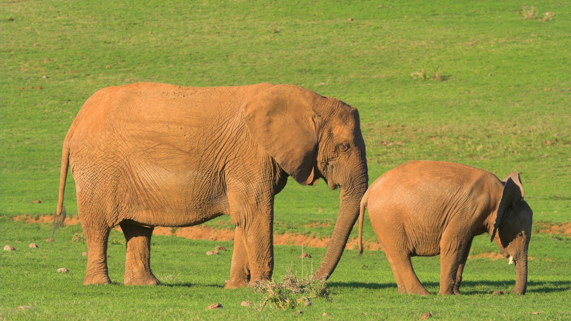 Nudge Theory in Marketing: Are You Being Nudged Today?